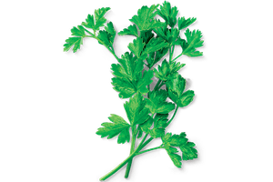 What is Parsley? Flavor, Health Benefits & More.